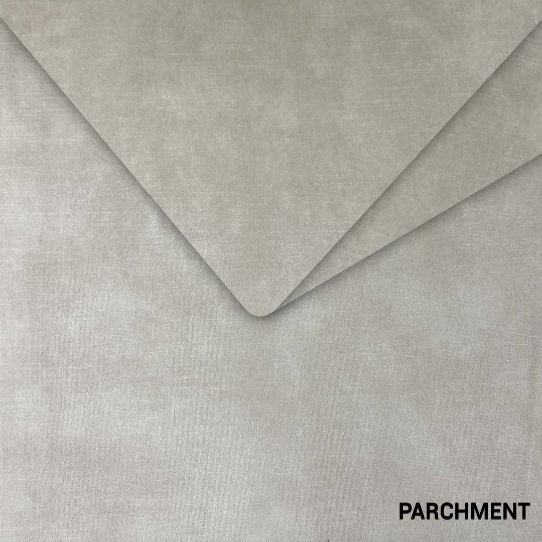 FOREVER PLUS – FORMATEX